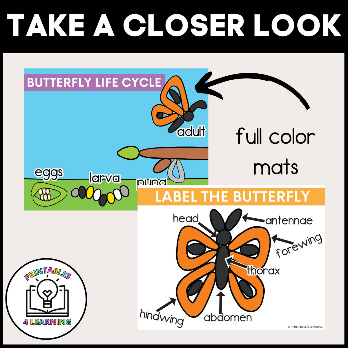 Butterfly Life Cycle Playdough Mats – Printables 4 Learning