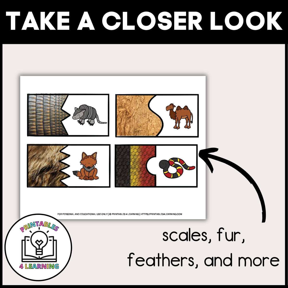 Zoo Animal Pattern Puzzles – Printables 4 Learning