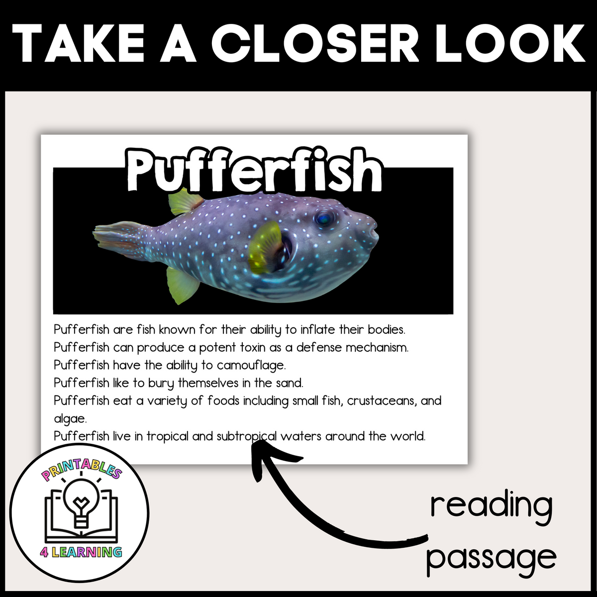 Pufferfish Animal Study for Kids – Printables 4 Learning