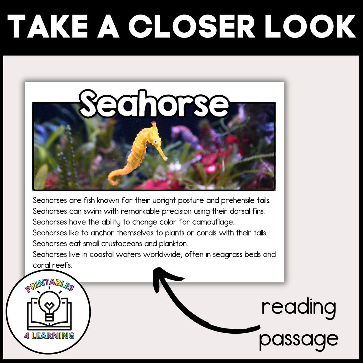 Seahorse Animal Study for Kids – Printables 4 Learning