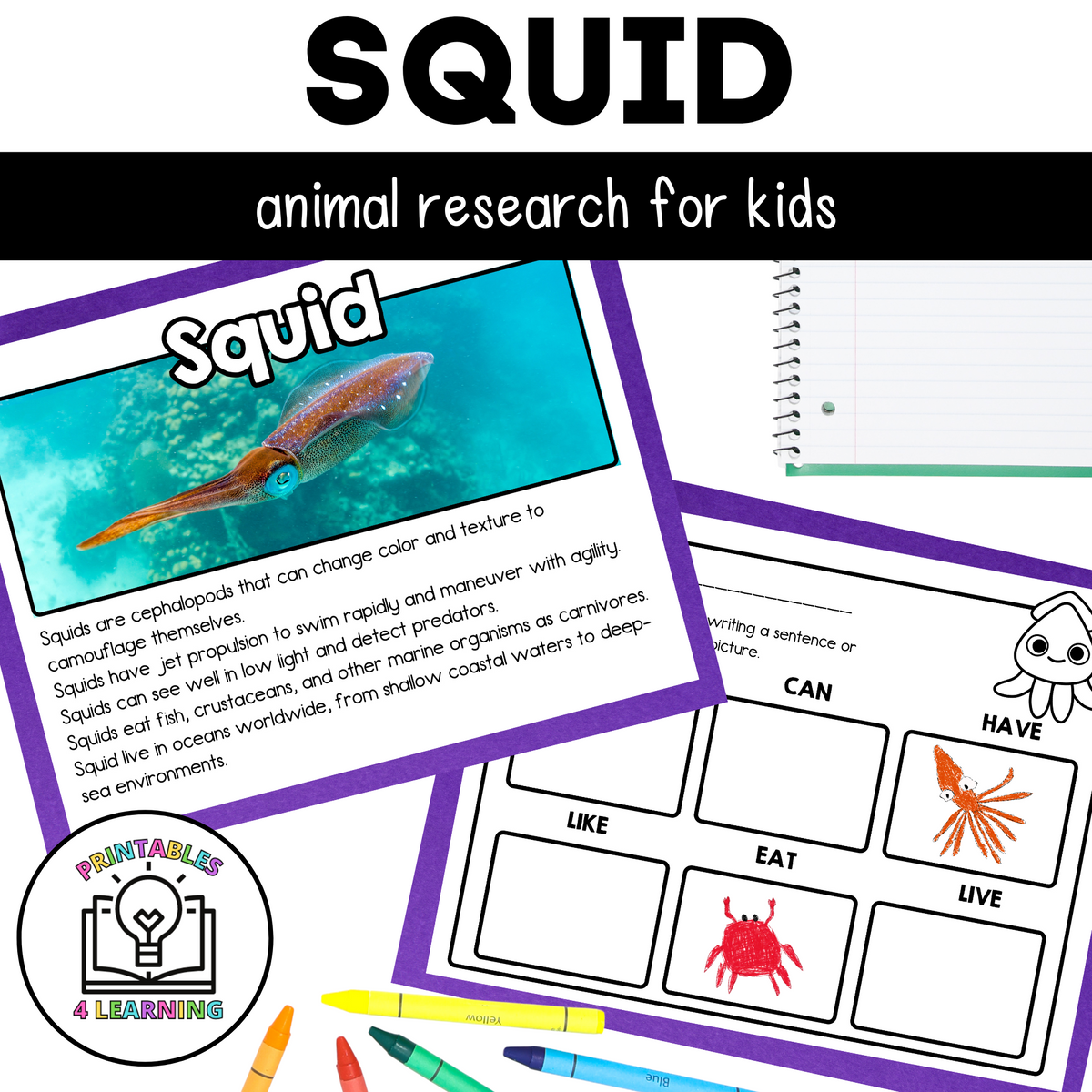 Squid Animal Study for Kids – Printables 4 Learning