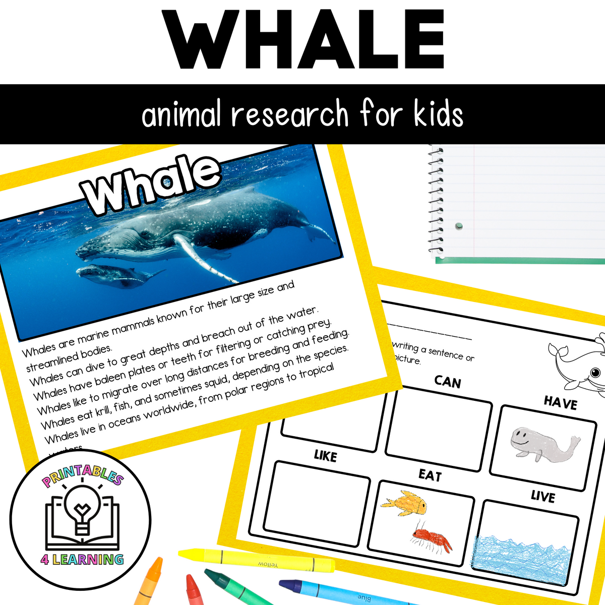 Whale Animal Study for Kids – Printables 4 Learning