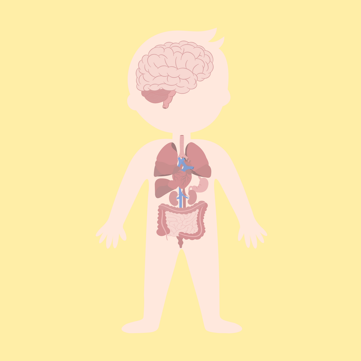 Human Body Activities for Kids – Printables 4 Learning