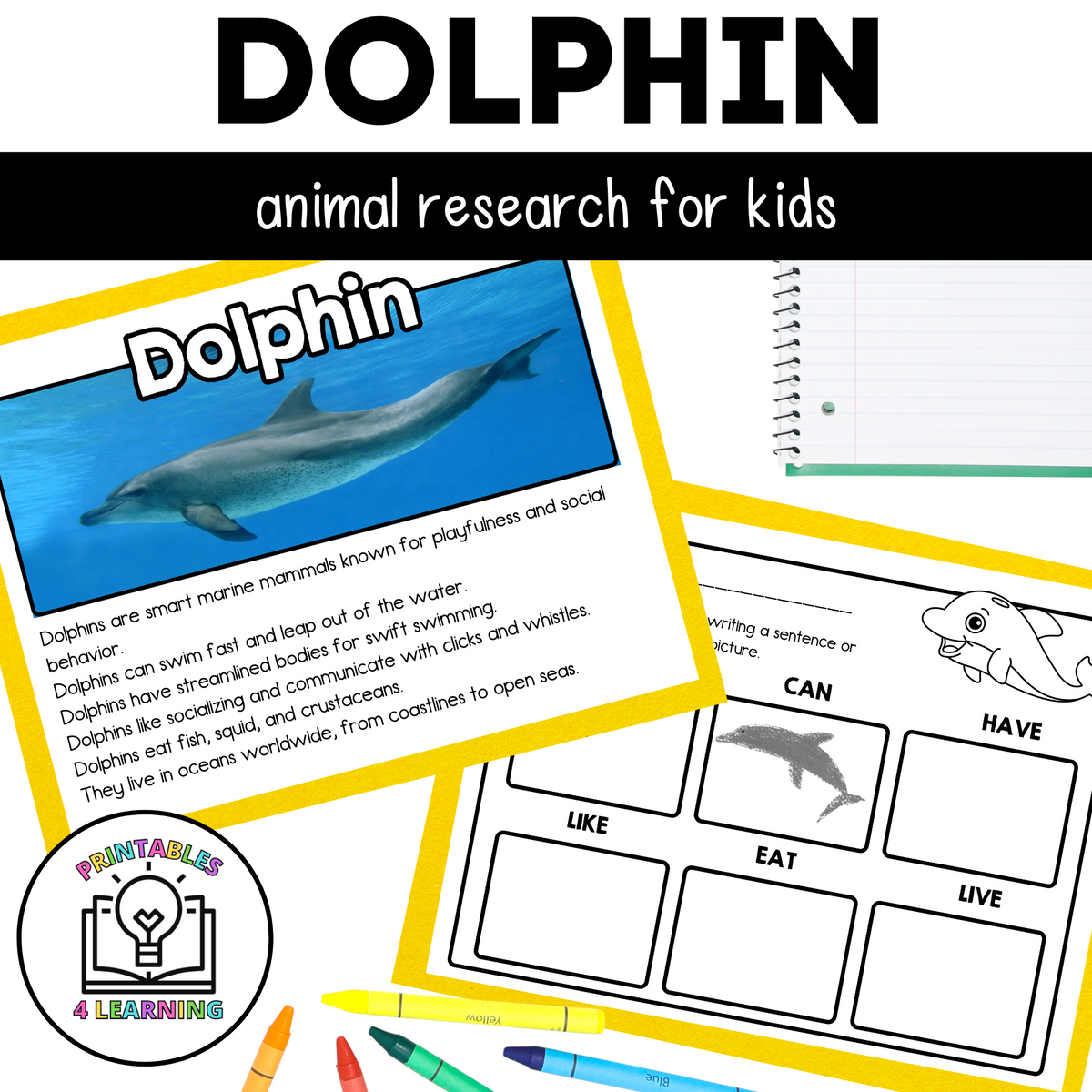 Dolphin Animal Study for Kids – Printables 4 Learning