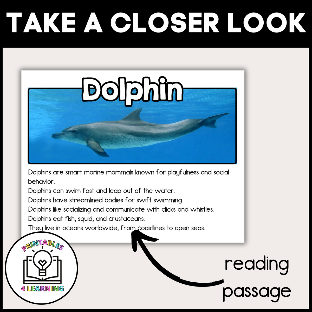 Dolphin Animal Study for Kids – Printables 4 Learning