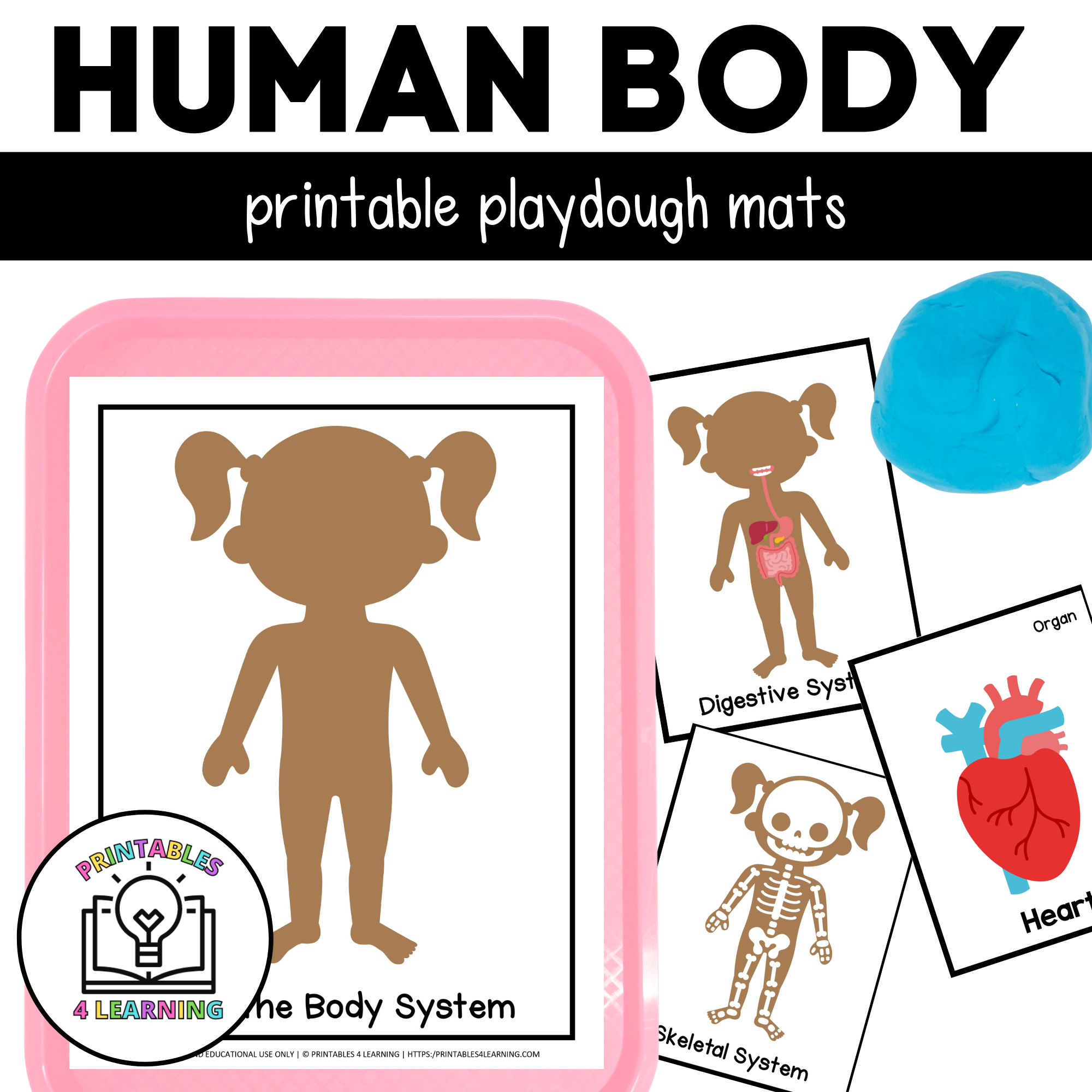Human Body Printables Homeschooling Edukacja Zdrowotna