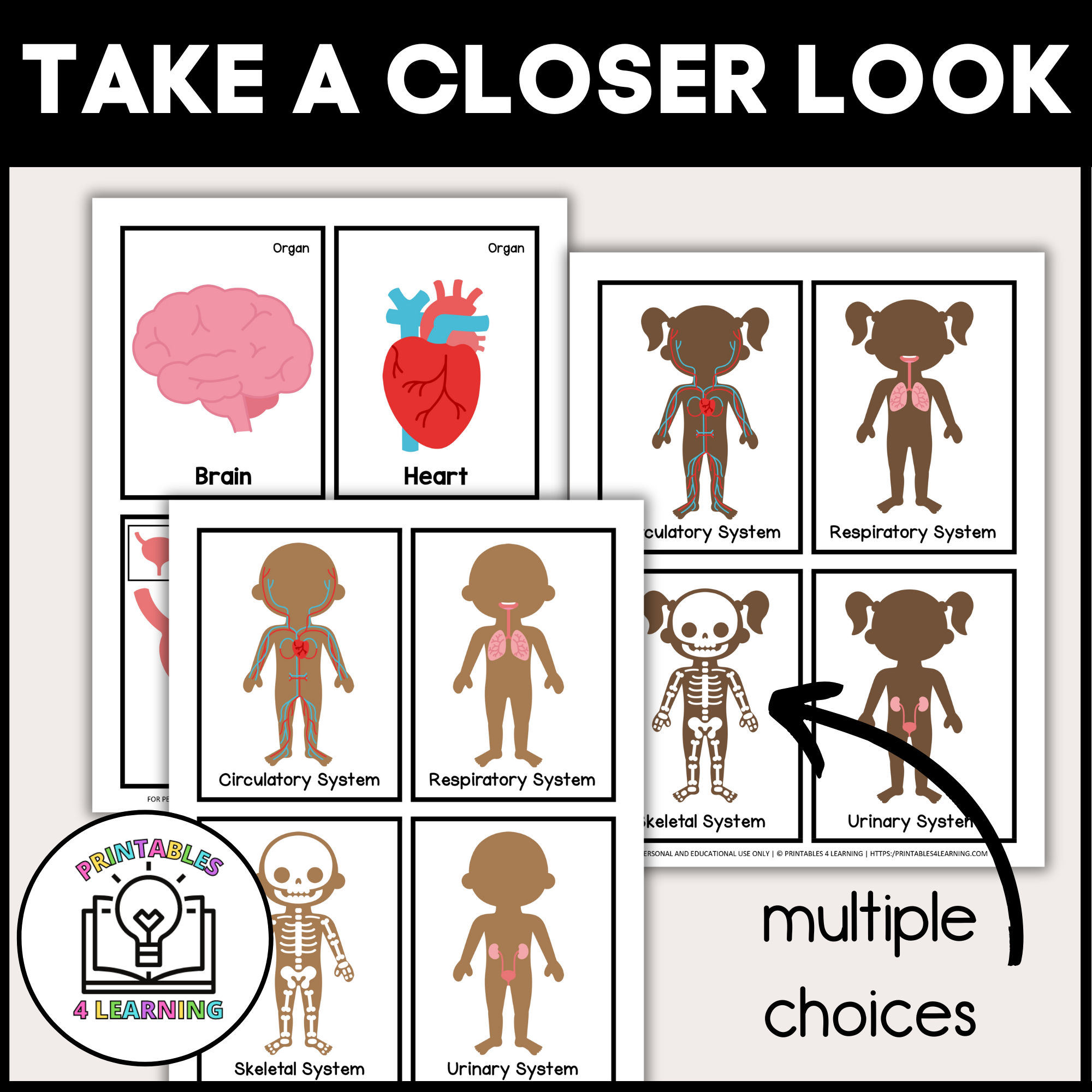 Human Body Systems For Kids Free Printables