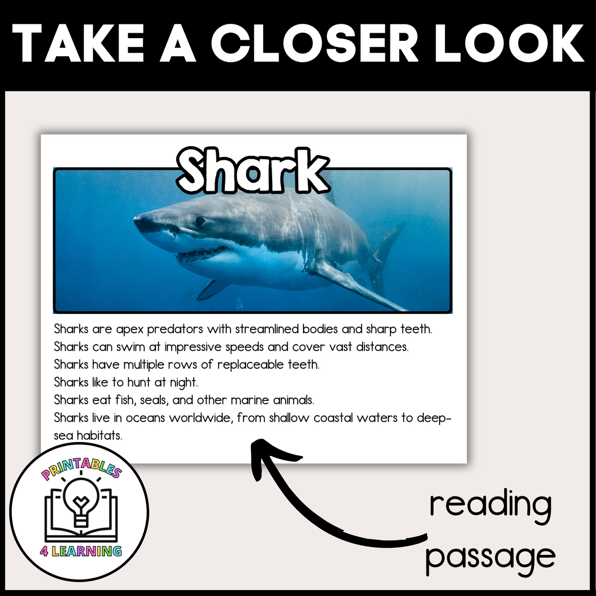 Shark Animal Study for Kids – Printables 4 Learning