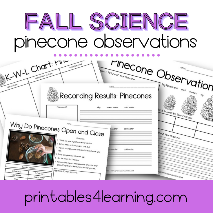Pinecone Observation Science Experiment: Why Do Pinecones Open and Clo# ...